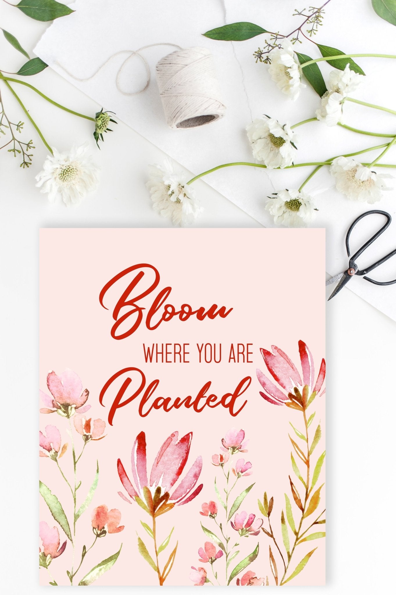 Bloom Where You Are Planted - FREE Printable